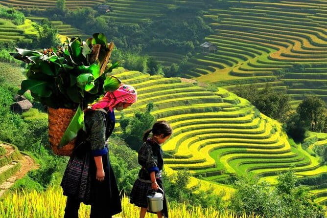 Gratiot Boutique Cruise: 3 Days Halong Bay Escape - Who Will Love This Tour?