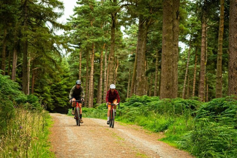 Gravel Bike Ride Dublin - Key Points