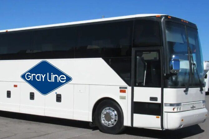 Gray Line NY Sightseeing Flex Pass to MoMA and 120+ options - The Sum Up