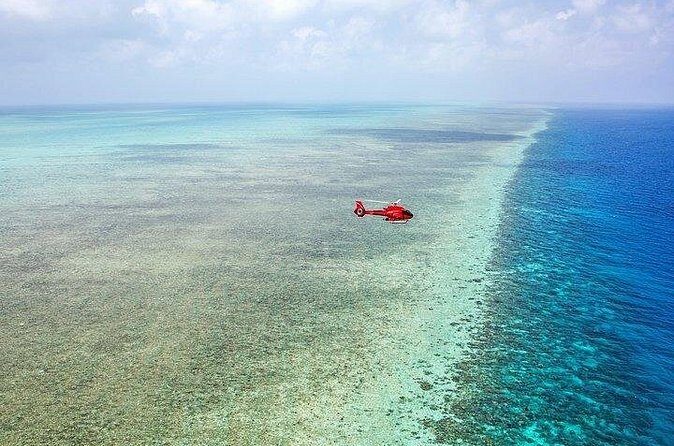 Great Barrier Reef 30-Minute Scenic Helicopter Tour from Cairns - The Experience in Action: Why Travelers Rave