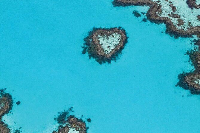 Great Barrier Reef and Whitsunday Islands Tour - How the Tour Works and What You Can Expect