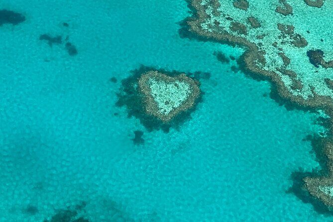 Great Barrier Reef and Whitsunday Islands Tour - Value and Cost Analysis