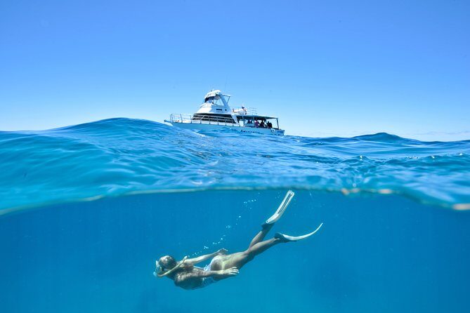 Great Barrier Reef Cruise from Townsville or Magnetic Island - Introduction