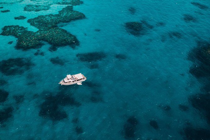 Great Barrier Reef Cruise from Townsville or Magnetic Island - Evaluating the Value and Practicalities