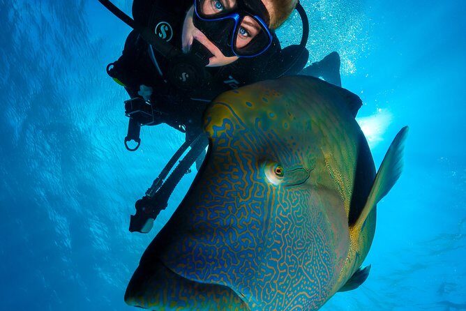 Great Barrier Reef Cruise - Gold Class VIP Lounge Package - Frequently Asked Questions