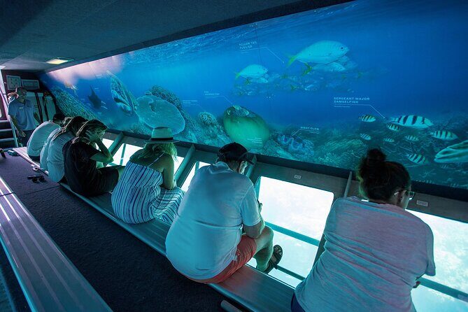 Great Barrier Reef Full Day Adventure - Final Thoughts