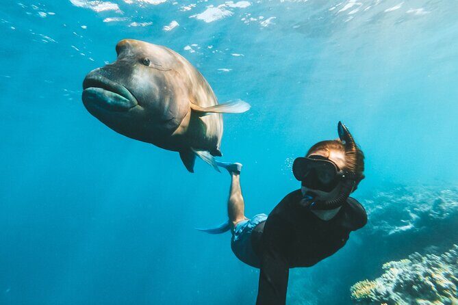 Great Barrier Reef Full Day Adventure - FAQ: Your Questions About the Great Barrier Reef Full Day Adventure