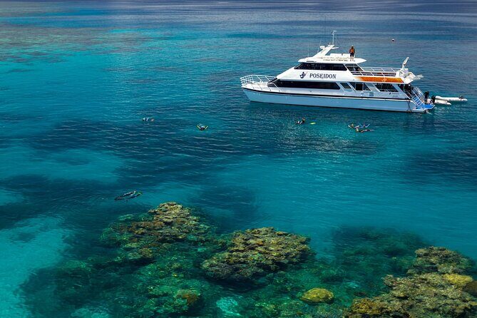 Great Barrier Reef or Rainforest Scenic Flights from Port Douglas - Traveler Feedback and Highlights