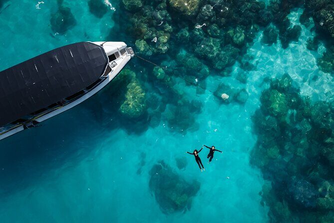 Great Barrier Reef Small Group Snorkelling Adventure - Key Points