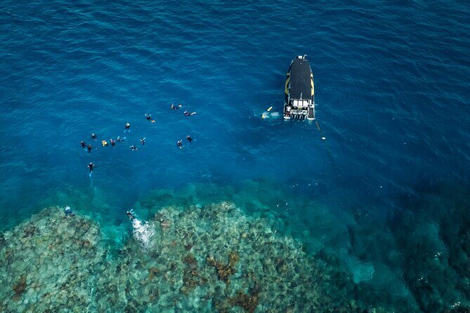 Great Barrier Reef Small Group Snorkelling Adventure - Essential Information