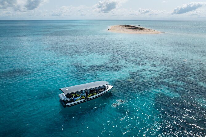 Great Barrier Reef Small Group Snorkelling Adventure - Final Words