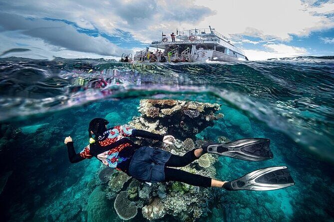 Great Barrier Reef with Cultural Guides-Dreamtime Dive & Snorkel - Starting Point and Logistics