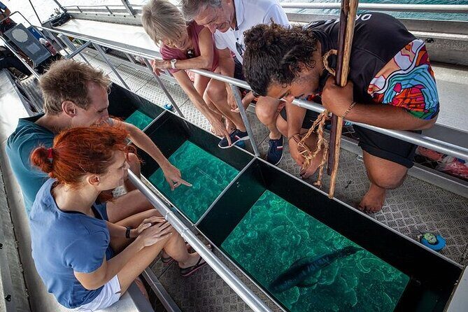 Great Barrier Reef with Cultural Guides-Dreamtime Dive & Snorkel - Meals and Refreshments