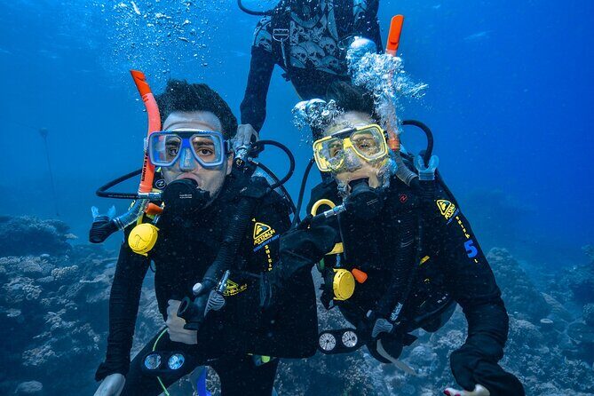 Great Barrier Reef with Cultural Guides-Dreamtime Dive & Snorkel - Pricing and Value