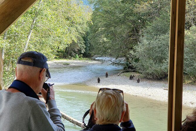 Great Bears of Bute: Grizzly Bear Viewing & Indigenous Cultural Tour - An In-Depth Look at the Itinerary
