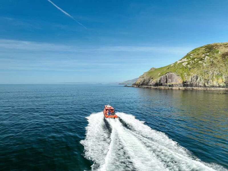 Great Blasket Island Wildlife Tour with Island Landing - An Authentic Irish Adventure: The Itinerary and What to Expect