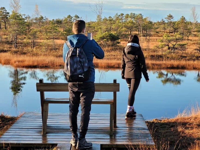 Great emeri Bog & Swamp Forest Hiking Adventure - Key Points