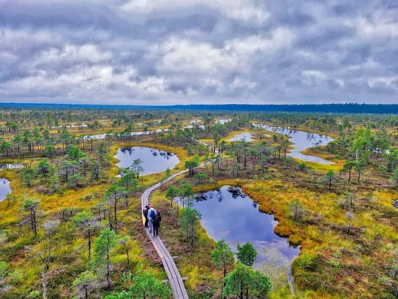 Great emeri Bog & Swamp Forest Hiking Adventure - An In-Depth Look at the Tour