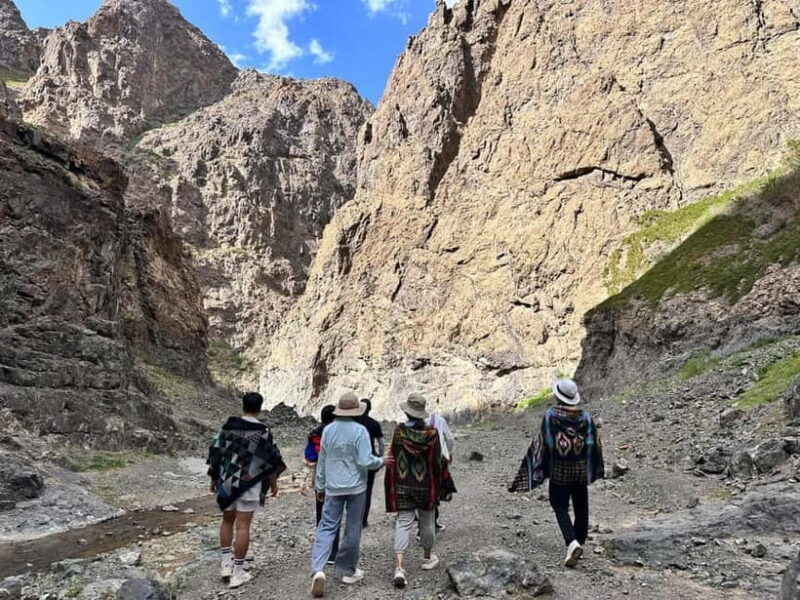 Great Gobi to Khuvsgul Lake 16 Days Tour - Who Will Love This Tour?