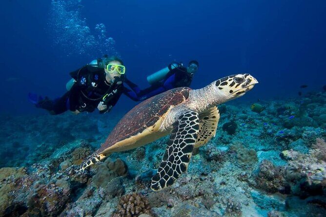 Great Keppel Island Day Trip Bundle from Yeppoon - FAQ