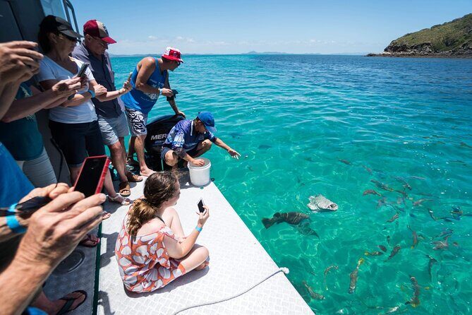 Great Keppel Island Glass Bottom Boat Tour & Ferry Transfer - Scenic and Practical Overview
