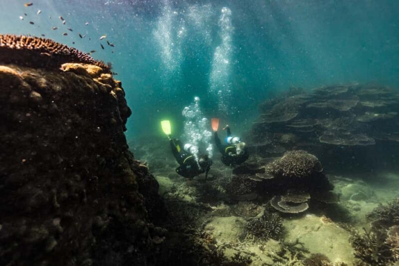 Great Keppel Island: PADI Discover SCUBA Diving - Who Should Consider This Experience?