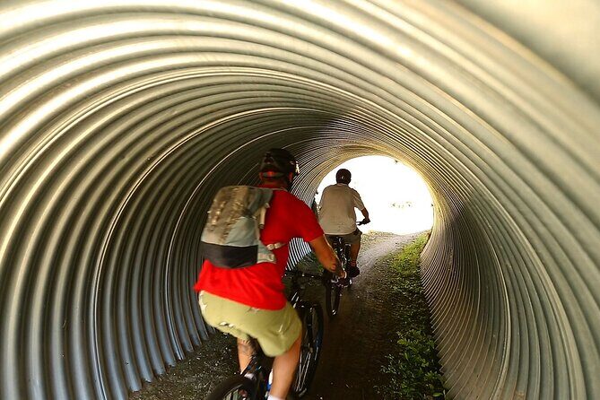 Great Lake Trail Lake Taupo 2-Day Mountain Biking Tour - Why Choose the Great Lake Trail?
