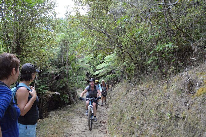 Great Lake Trail Lake Taupo 2-Day Mountain Biking Tour - Trail Quality and Scenery: Why It Matters