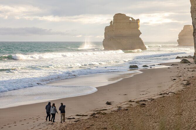 Great Ocean Road 1 Day Luxury Private Tour - In Summation: Who Is This Tour Best For?