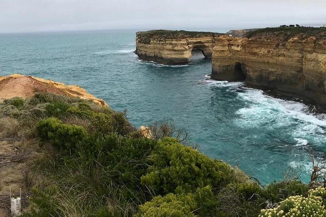 Great Ocean Road 12 Apostles kangaroo & koala tour - Who Should Consider This Tour?