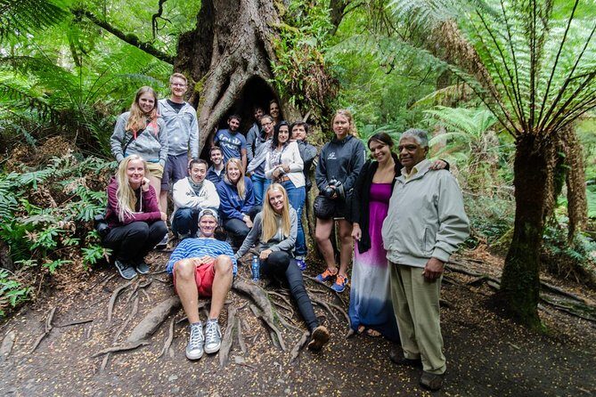 Great Ocean Road, 12 Apostles, Rainforest & Morning Tea-Melbourne - Exploring the Otways: Rainforest Walks and Scenic Nature