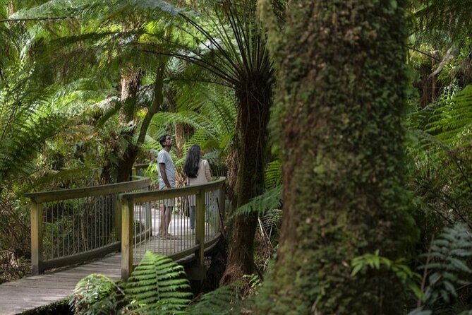 Great Ocean Road, 12 Apostles, Rainforest & Morning Tea-Melbourne - An Honest Look at the Itinerary