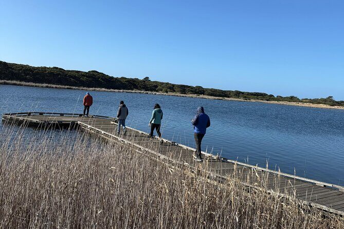 Great Ocean Road and 12 Apostles Private Day Tour - The Sum Up