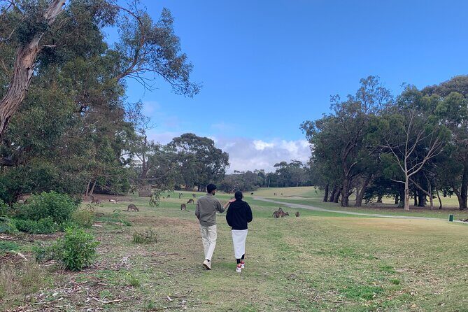 Great Ocean Road and 12 Apostles Private Day Tour - Key Points