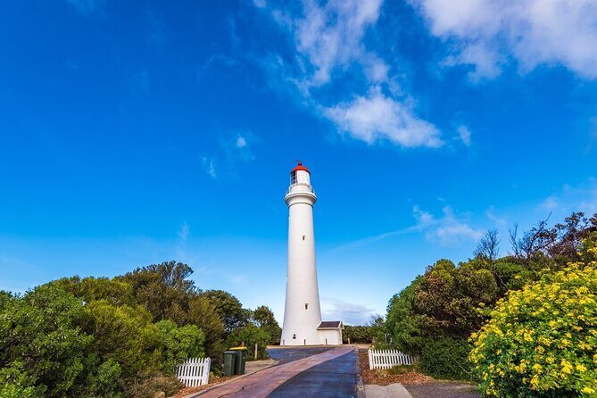 Great Ocean Road and 12 Apostles Tour - The Itinerary in Detail: What to Expect at Each Stop