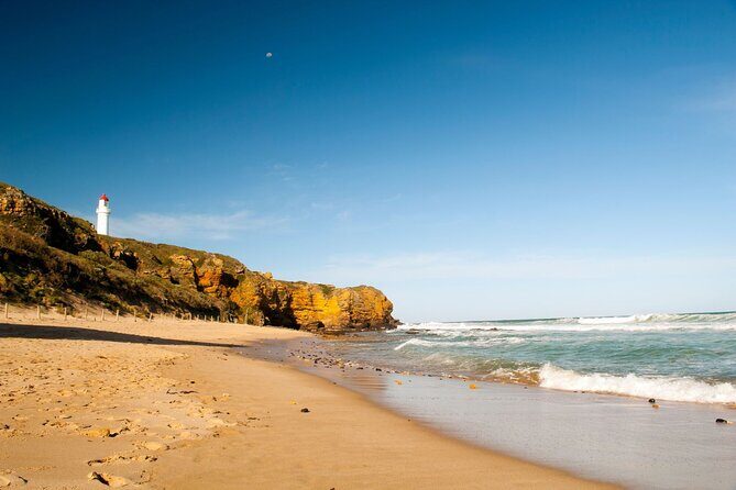 Great Ocean Road and 12 Apostles Tour - Who This Tour Is Best For