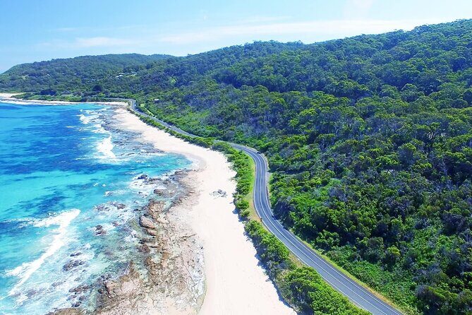 Great Ocean Road and 12 Apostles Tour - The Sum Up: Is This Tour Worth It?