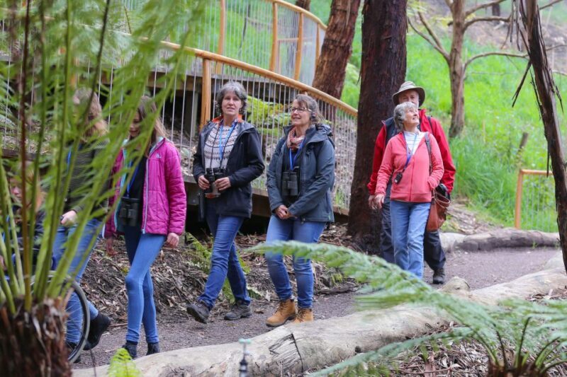 Great Ocean Road: Guided Wildlife Walk that Supports Nature - An In-Depth Look at the Experience