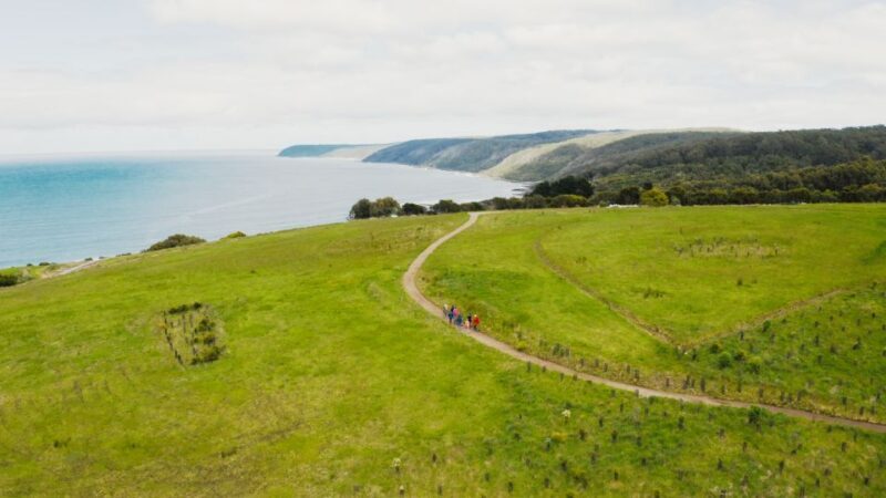 Great Ocean Road: Guided Wildlife Walk that Supports Nature - The Sum Up