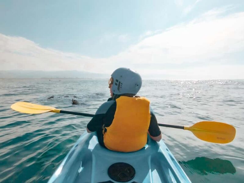Great Ocean Road: Kayaking with Seals Tour - A Thorough Look at the Kayaking with Seals Tour