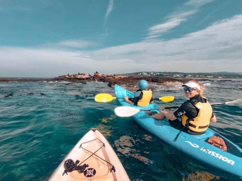 Great Ocean Road: Kayaking with Seals Tour - Practical Tips for Your Trip