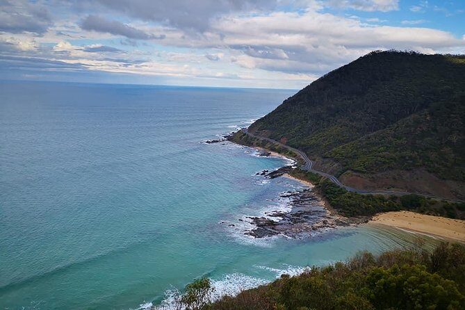 Great Ocean Road Medium Size Group Tour - What Do the Reviews Say?