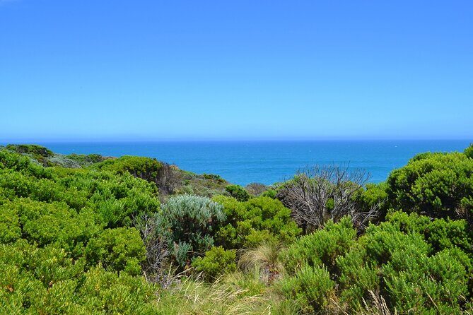 Great Ocean Road - Private Discovery Tour - Final Thoughts