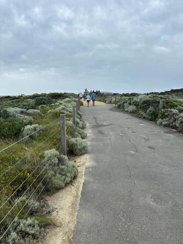 Great Ocean Road reverse Sunrise Tour - What to Expect from the Tour