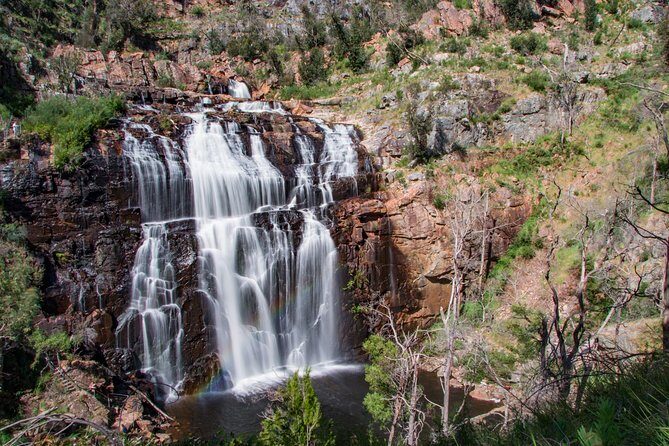 Great Ocean Road to Grampians 2 Day 1 Night Tour from Melbourne to Adelaide - How the Travel Makes a Difference