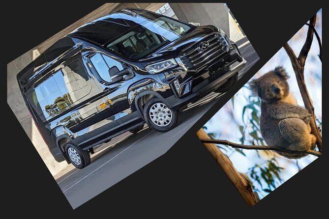 Great Ocean Road Tour Reverse -Luxury 13 Small Group-Hotel PickUP - Who Should Consider This Tour