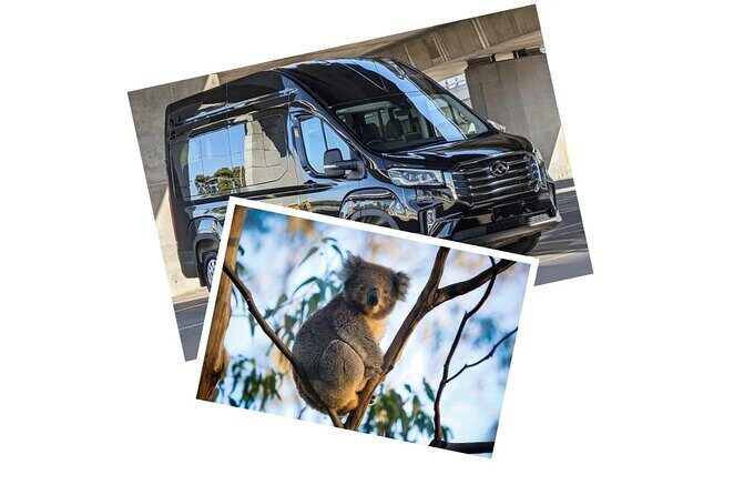 Great Ocean Road Tour Reverse SML GRP-DLUX Mini Bus Hotel Pickup - A Deep Dive Into the Itinerary
