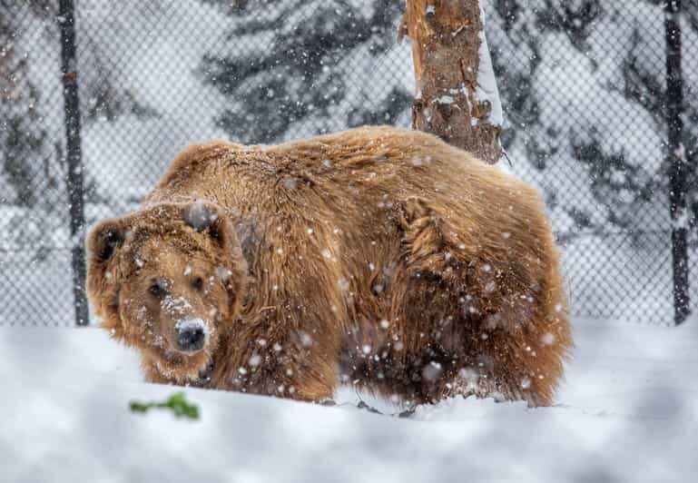 Great Plains Zoo - The Sum Up: Is the Great Plains Zoo Worth It?