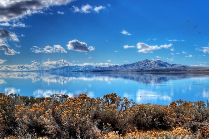 Great Salt Lake and Antelope Island Day Tour - What’s Included and How It Works