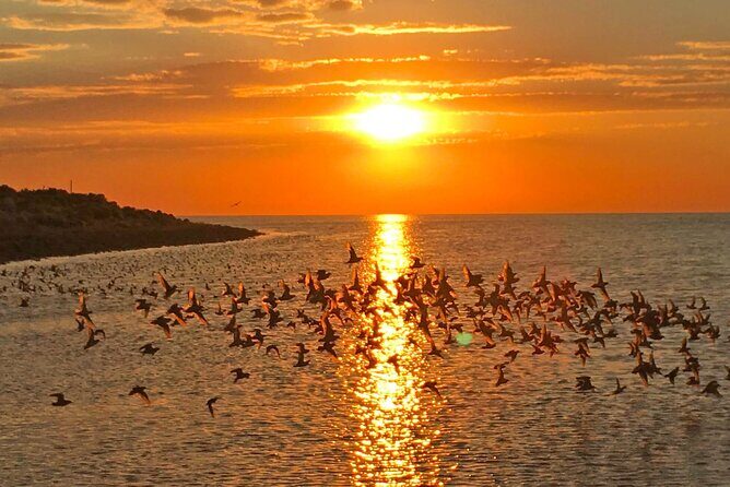 Great Salt Lake Birding and Nature Adventure - Authentic Reviews: What Other Travelers Say